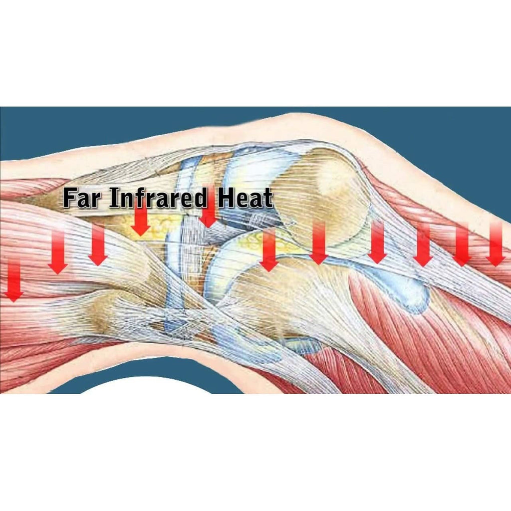 Conybio FIR Waist Belt (Double Brace) (For Men & Women) – Uniherbs India